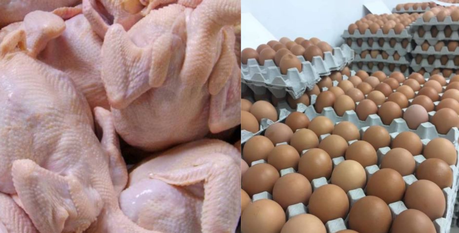 Harga Telur Dan Ayam Akan Naik Lagi 1 Julai Ini..Ini Korang Patut Tahu